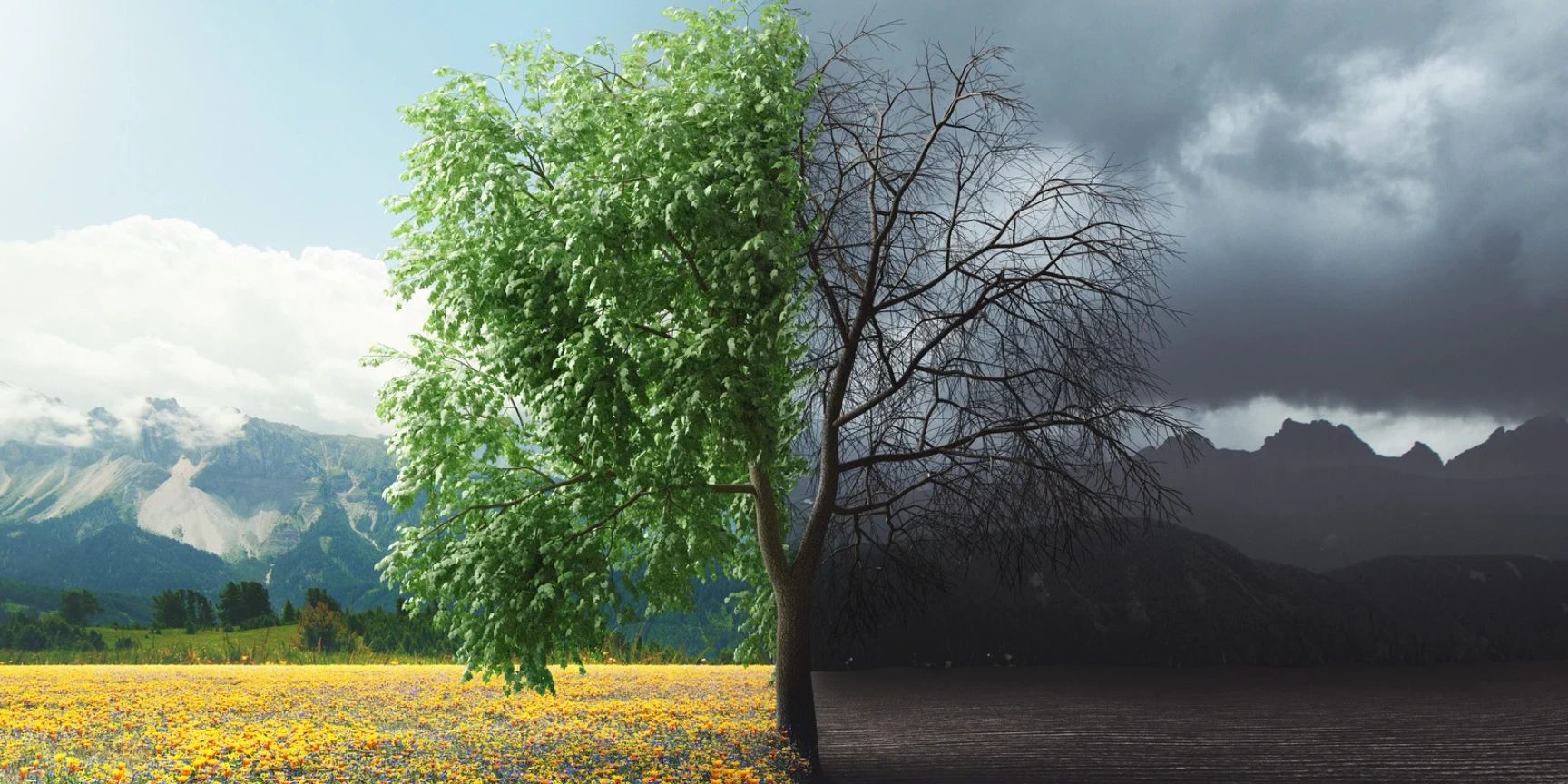 Parental Alienating Behaviours & the Devastating Outcomes